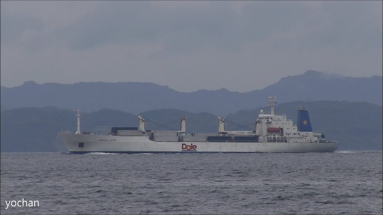 Reefer ship: TROPICAL STAR (Dole - Reefership Marine Services, IMO ...