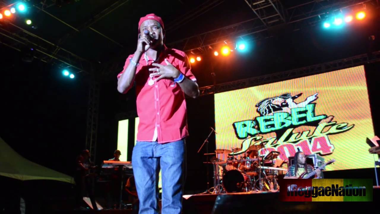 Terry Linen @ Rebel Salute 2014 - YouTube