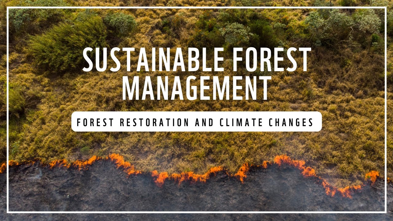 Forest restoration in the conditions of a changing climate ...