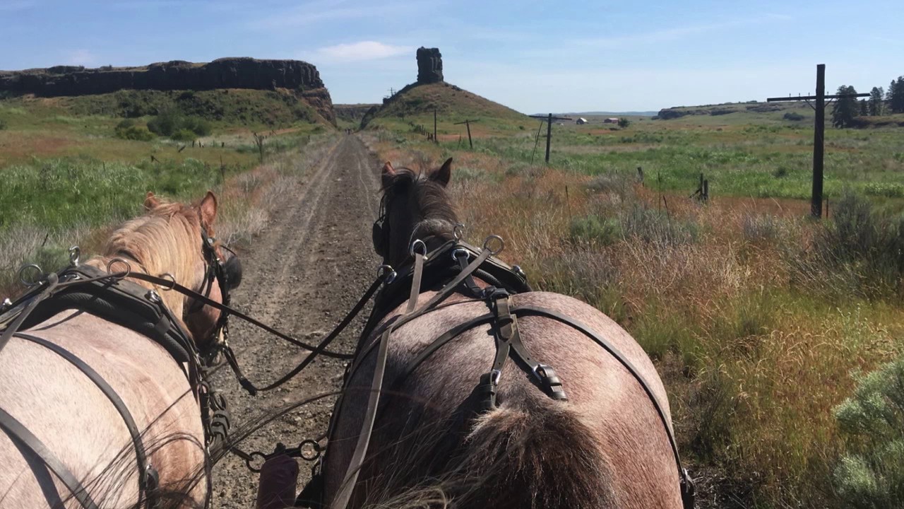 John Wayne Trail 2017 - YouTube