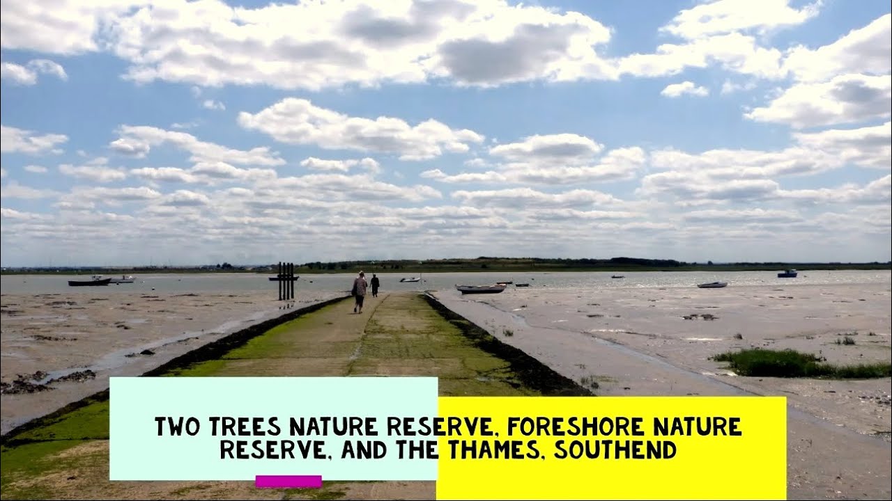 Two Trees Nature Reserve, Foreshore Nature Reserve, and the Thames ...
