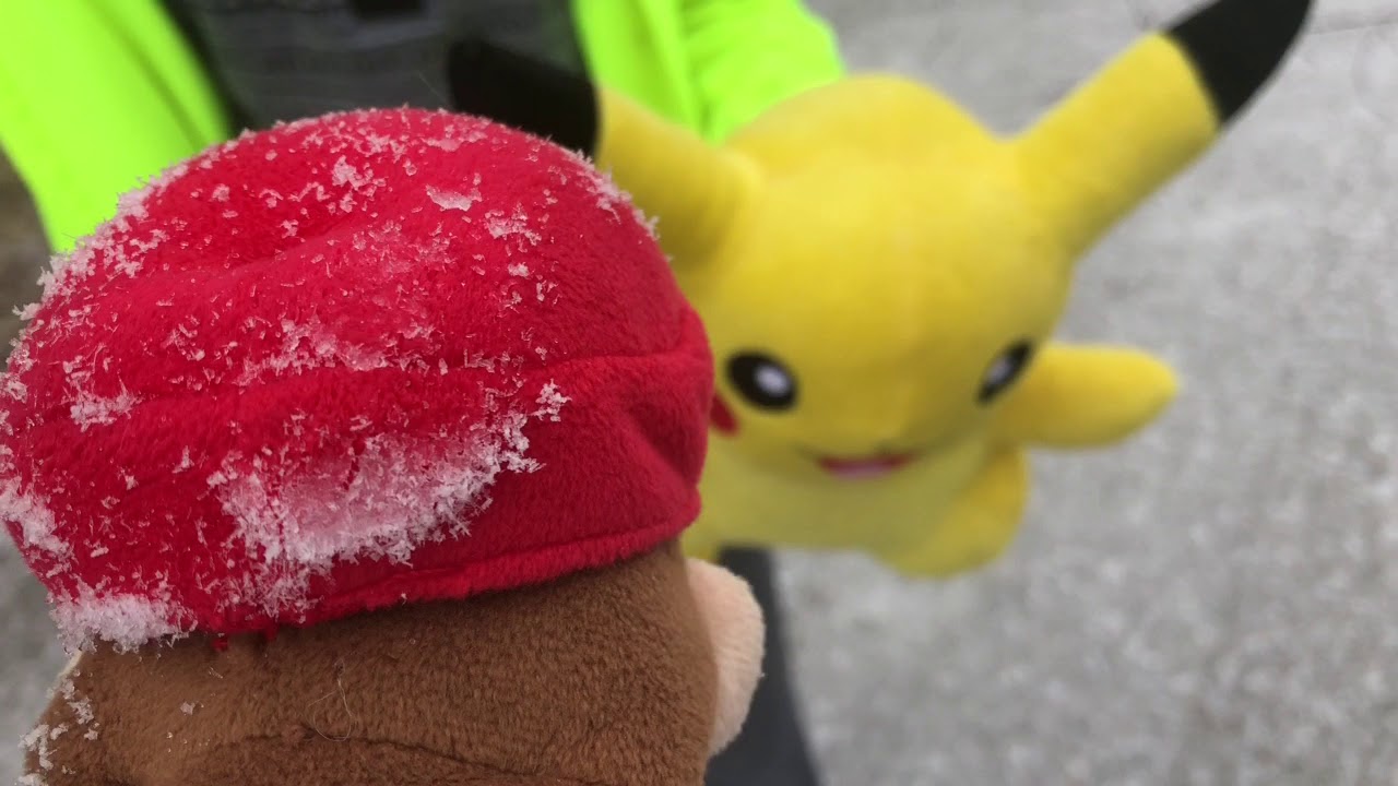 Pika poop - YouTube