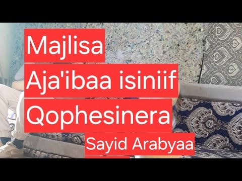 Sayid Arabya Majlisafi Hojii Mukaa(Furniture)Darraa Oromiyaa - YouTube