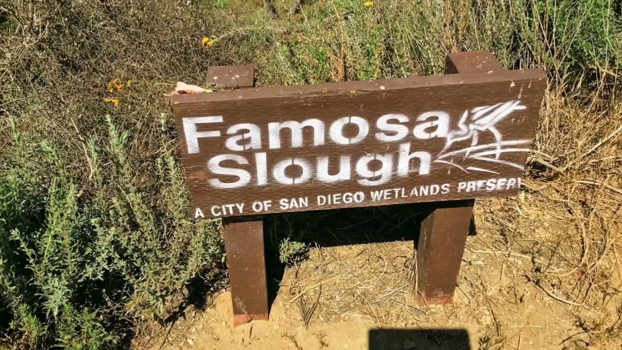 Famosa Slough - YouTube