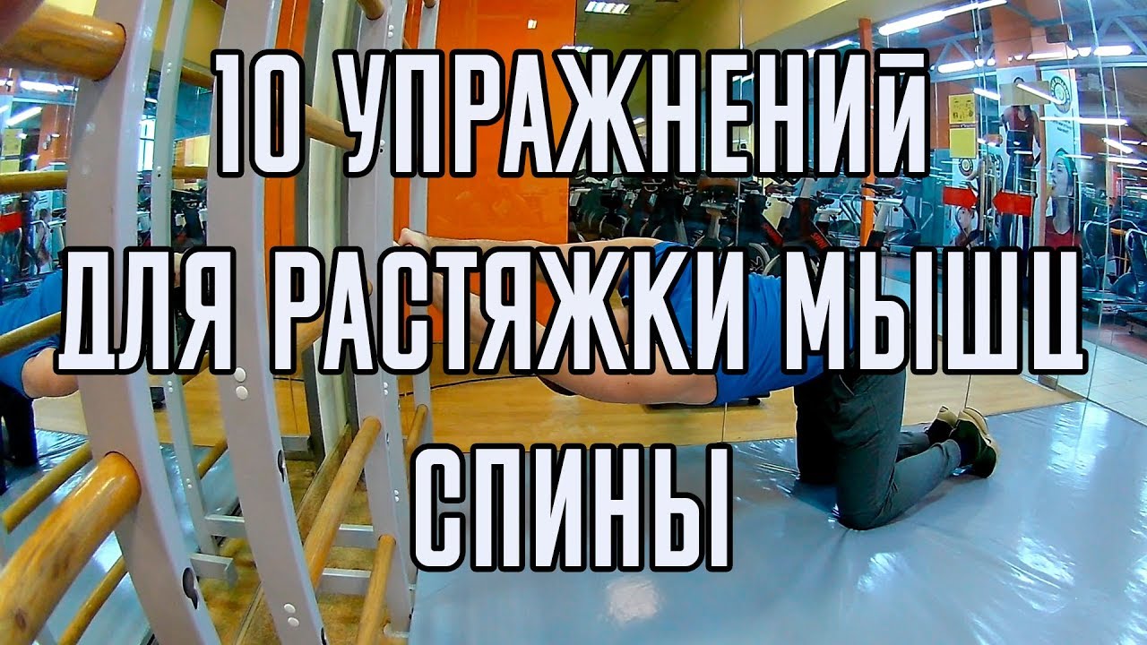 10 Упражнений для Растяжки Спины и Позвоночника Youtube