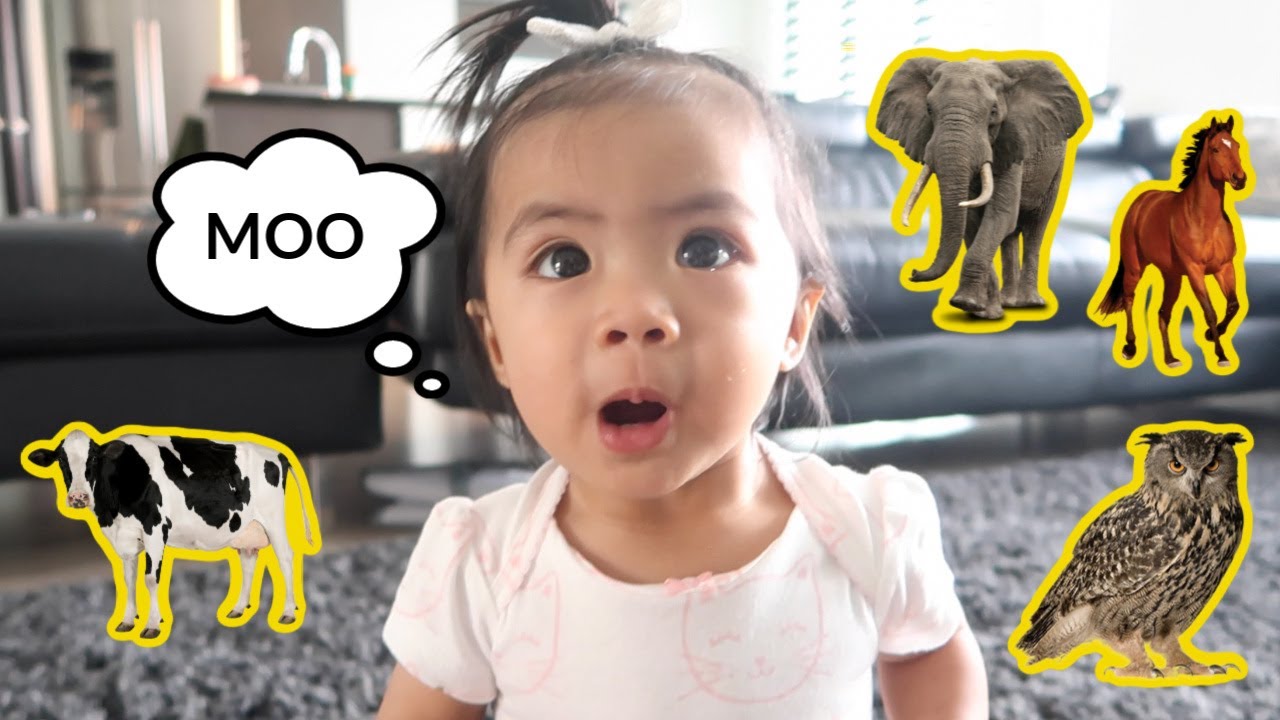 BABY LEARNS ANIMAL SOUNDS AND BABY SIGN LANGUAGE - YouTube