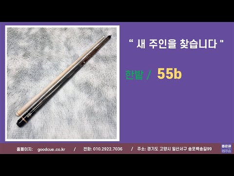 (새 주인을 찾습니다) 한밭 / 55b (판매완료) - YouTube