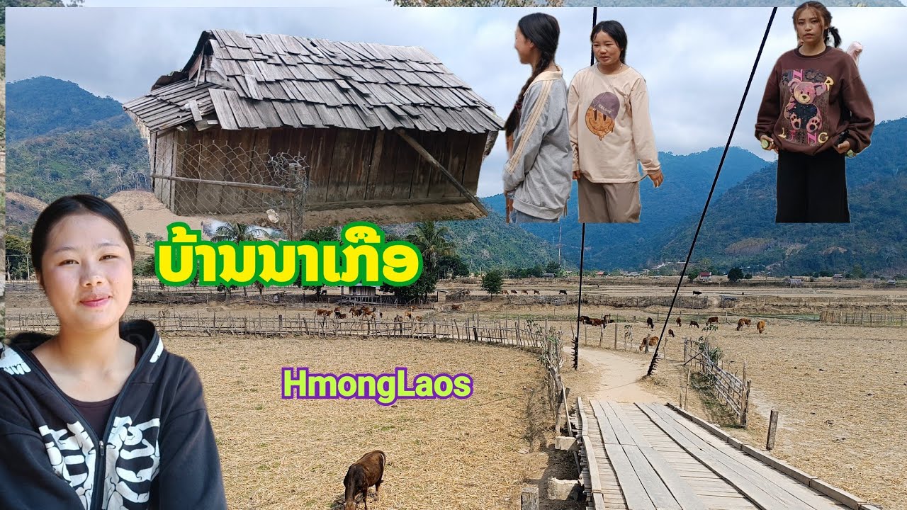 Laos Hmong ບ້ານນາເກືອ ເມືອງຊຳໃຕ້ເເຂວງຫົວພັນ //ม้ง บ้านนาเกลือ - YouTube