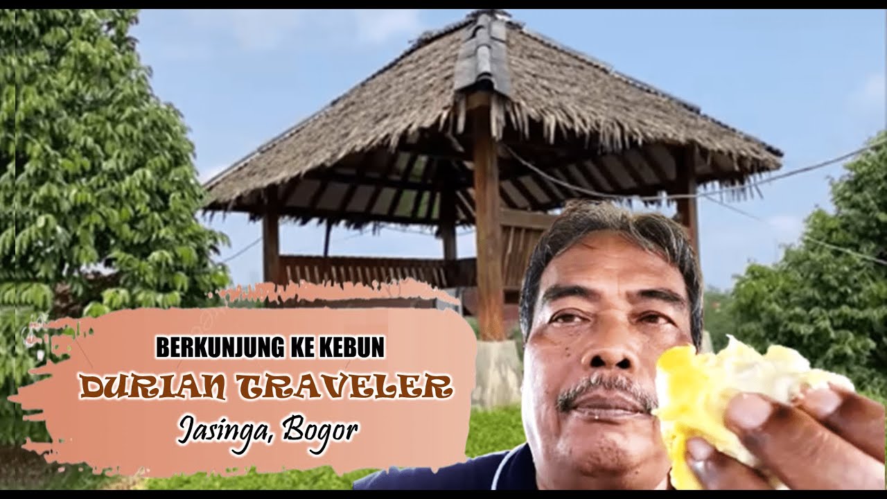 BERKUNJUNG KE KEBUN DURIAN TRAVELER JASINGA FARM, BOGOR - YouTube