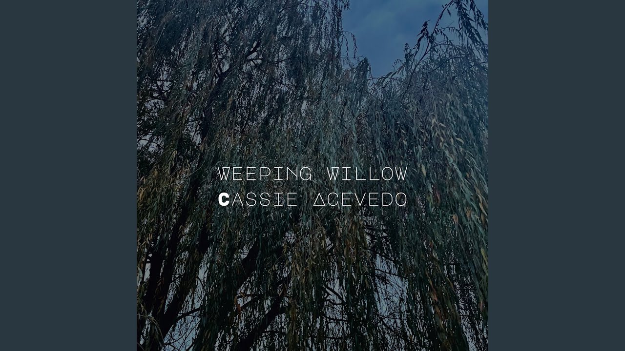 Weeping Willow - YouTube