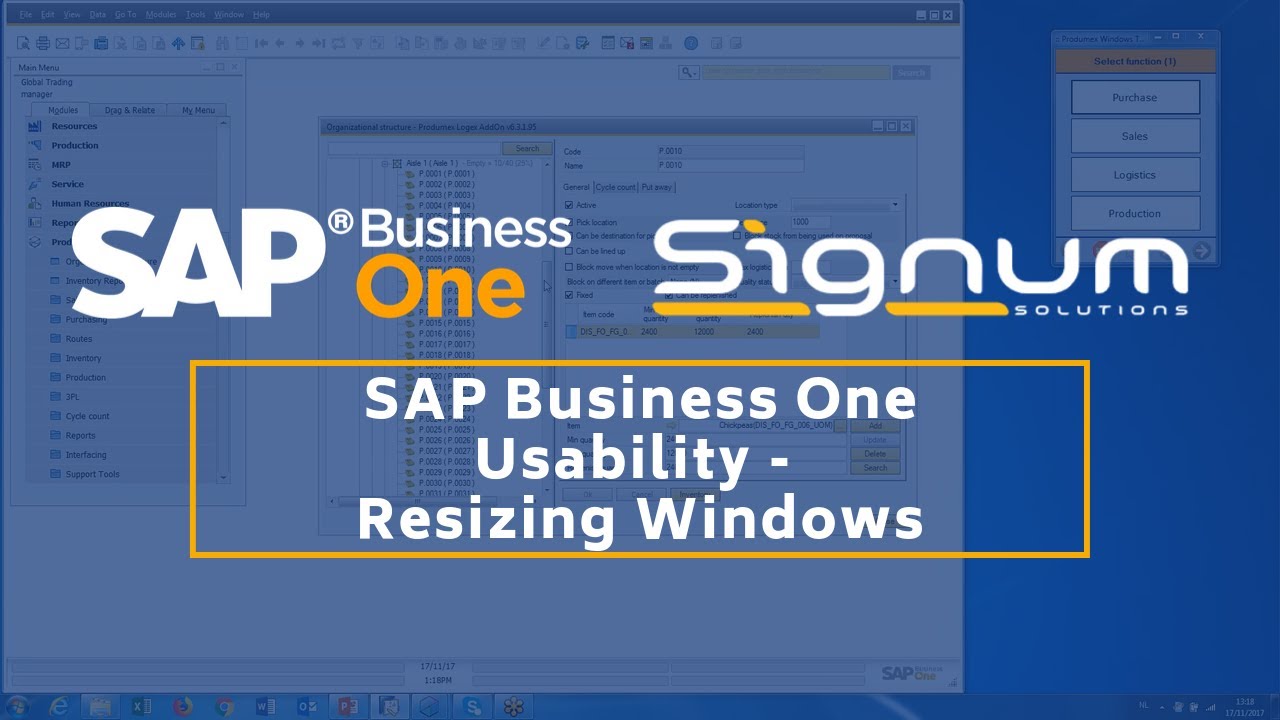 SAP Business One Usability Resizing Windows - YouTube