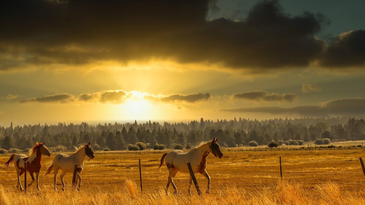 Sunriver Stables at Sunriver Resort - YouTube
