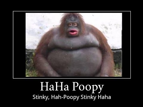 funny poop - YouTube