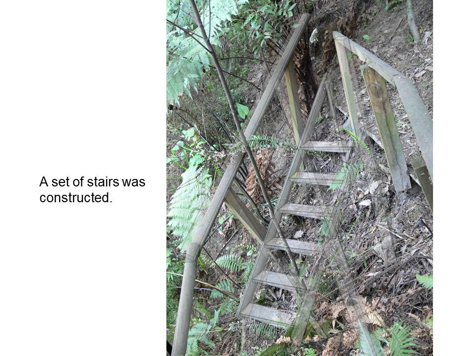 Restored gully in Hamilton, New Zealand - YouTube