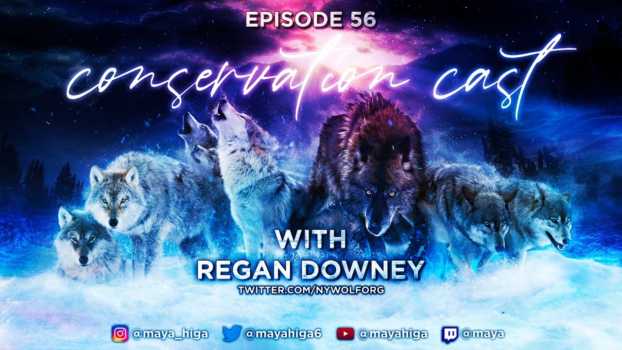 CONSERVATION CAST Ep. 56: Regan Downey - YouTube
