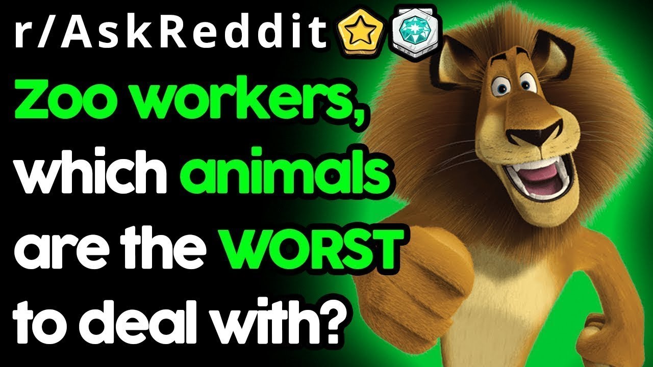Reddit Stories-'Biggest Jerk' Animals stories from zoo keepers - YouTube