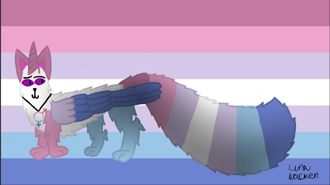 Bigender cat - YouTube