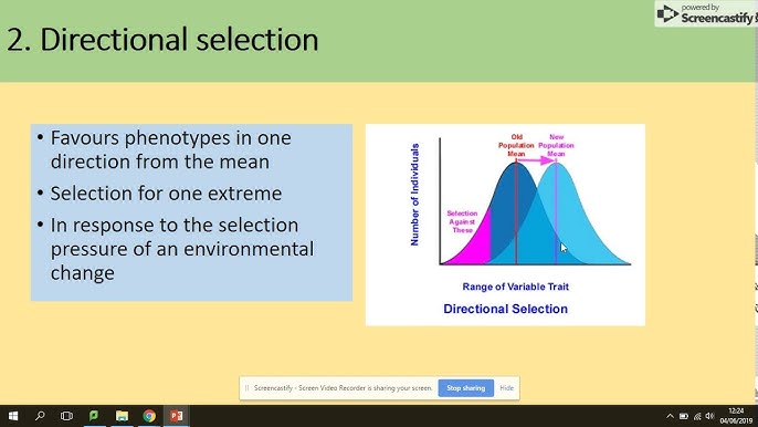 Directional Selection Definition Directional Selection Definition