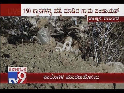 Inhuman Act: 150 Dogs Were Killed & Buried at Honnali in Davangere ...