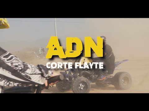 ADN Corte Flayte (Video Oficial)