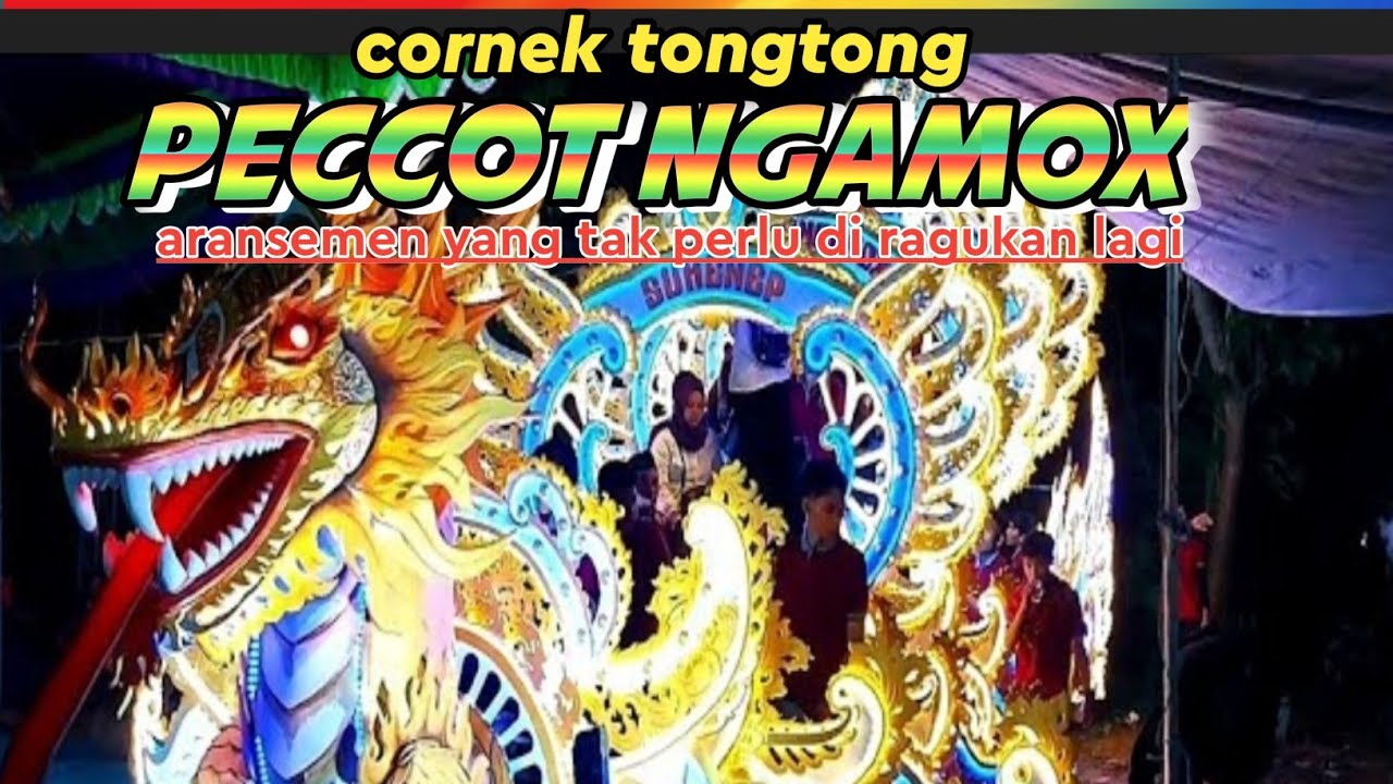 Cornek tongtong peccot ngamox || ARANSEMEN YANG TAK PERLU DI RAGUKAN ...