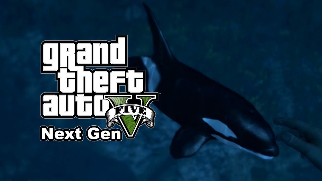 Killer Whale, Orca - GTA Next Gen - First Person - YouTube