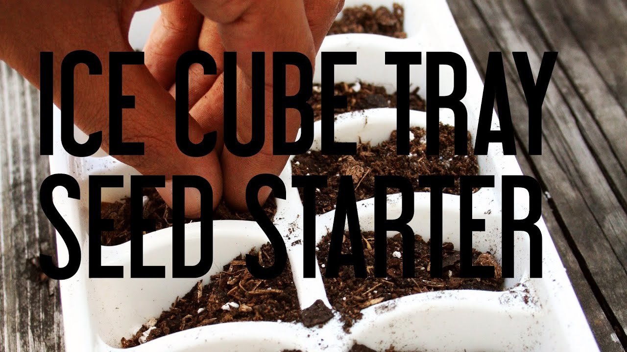 Ice Cube Tray Seed Starter - YouTube
