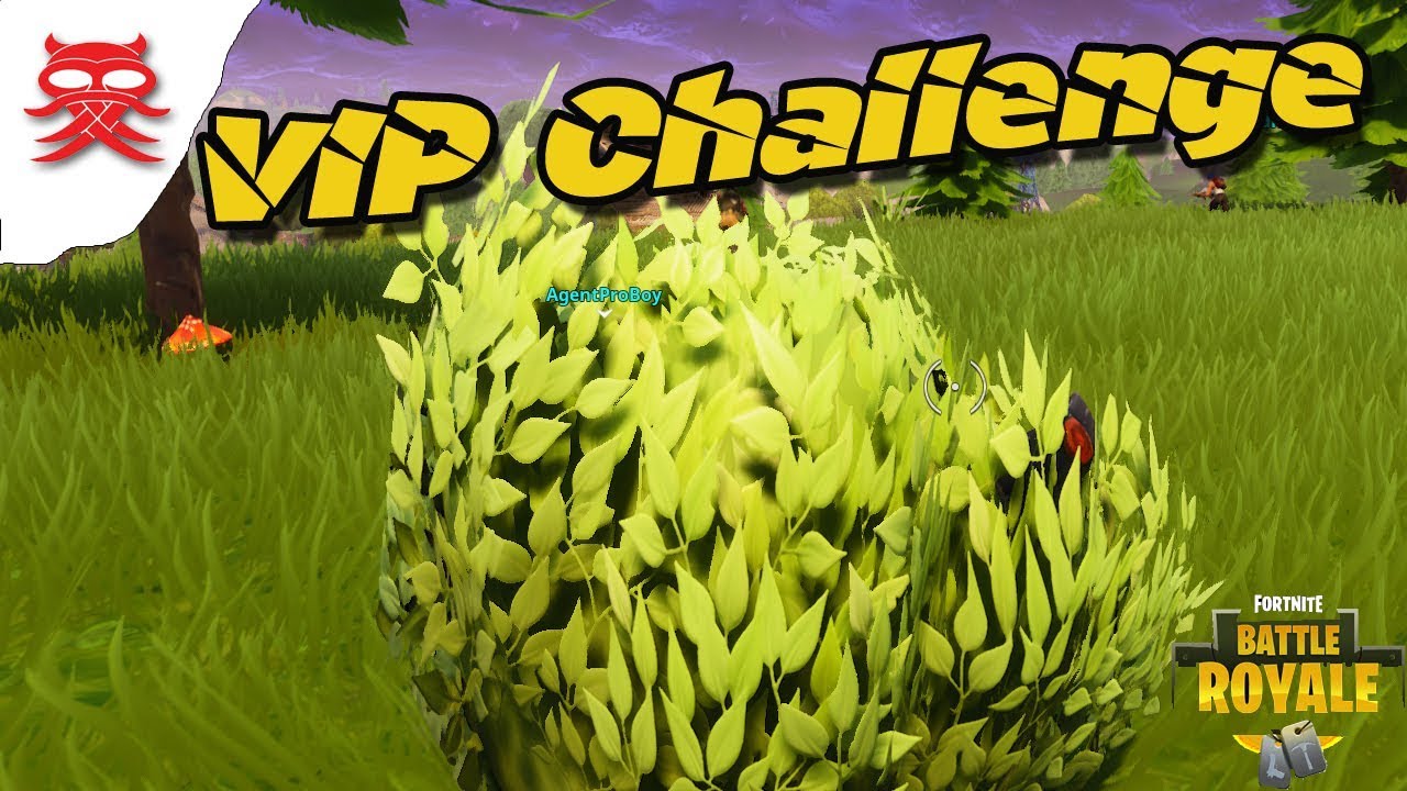 Vip challenge - Team Skrald - Dansk Fortnite - YouTube