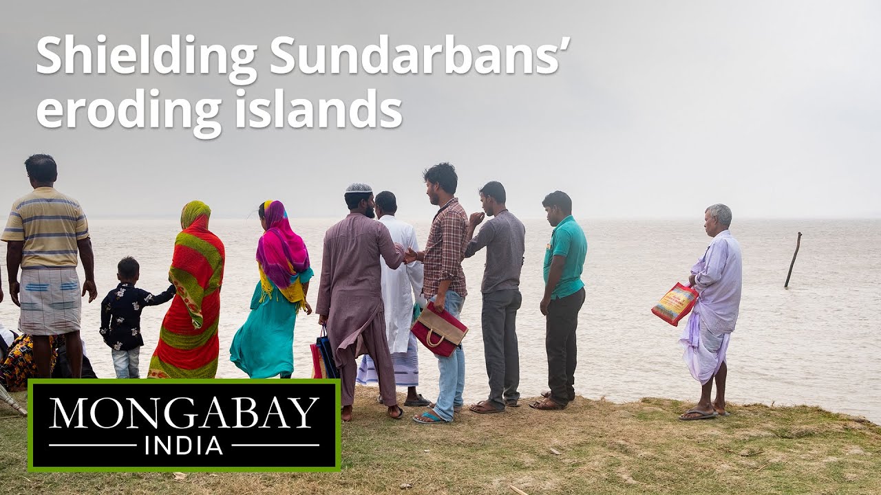 Land and homes fall apart as people wait for stronger embankments ...