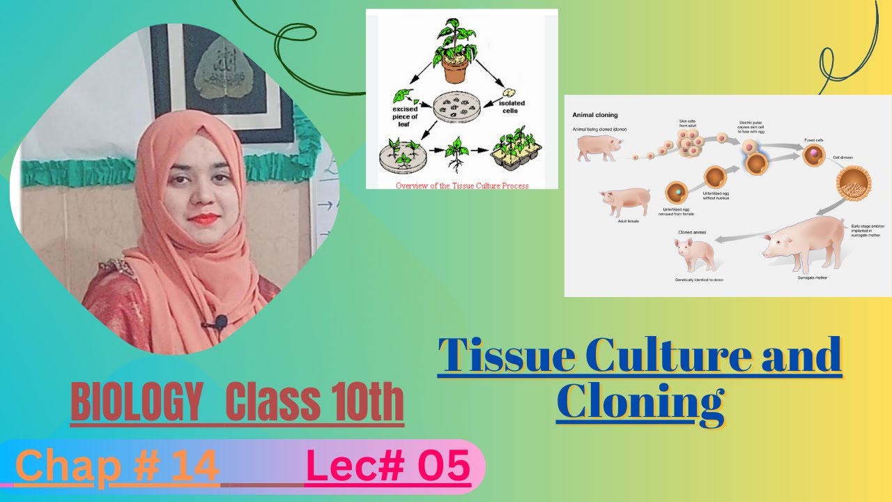 Tissue Culture and Cloning| Chap # 14 | Biology Class 10 | lec # 5 (PTB ...