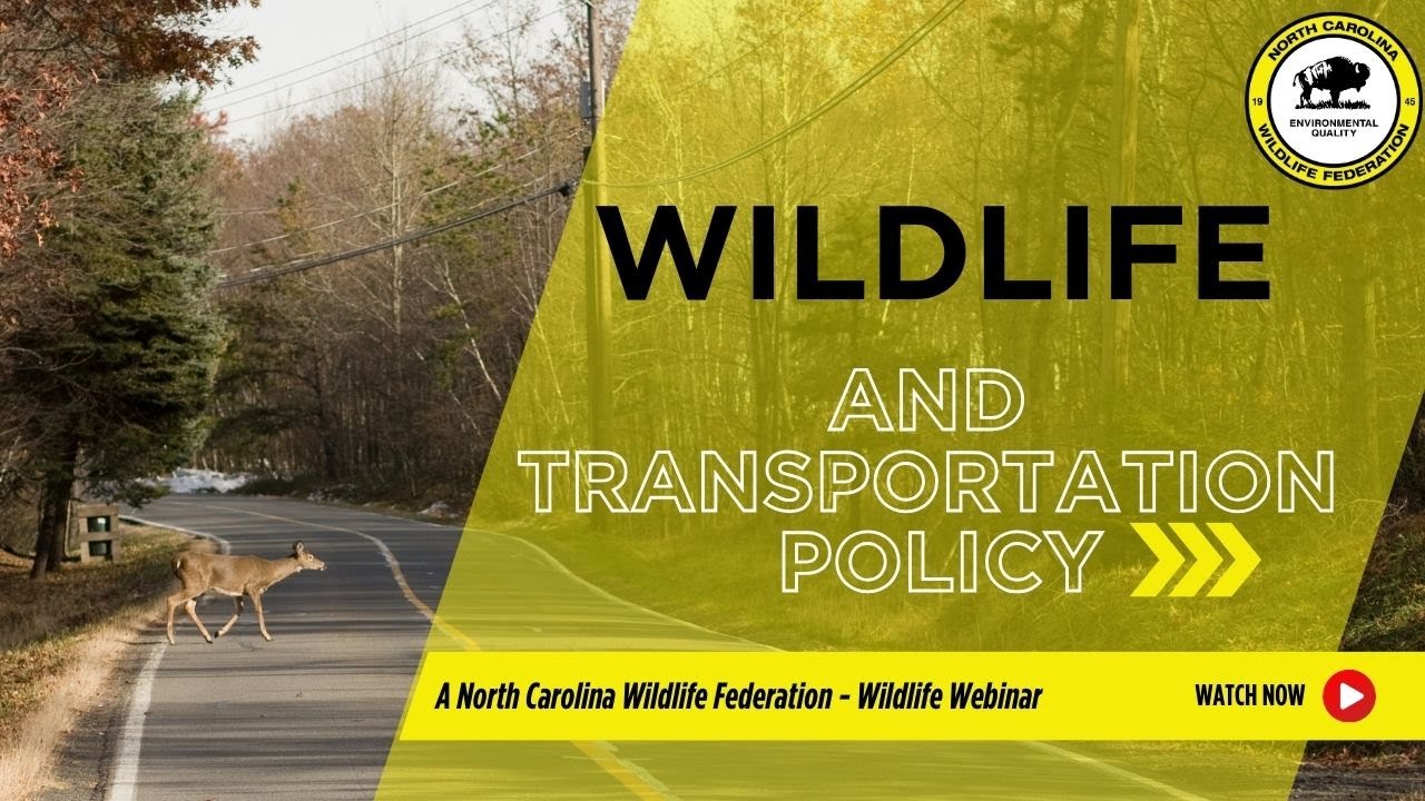 Connecting Wildlife to North Carolina Transportation Policy - North ...