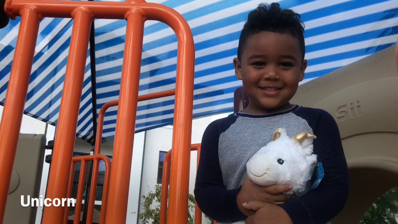 Joe Stuffed animal hunt at the Park - YouTube