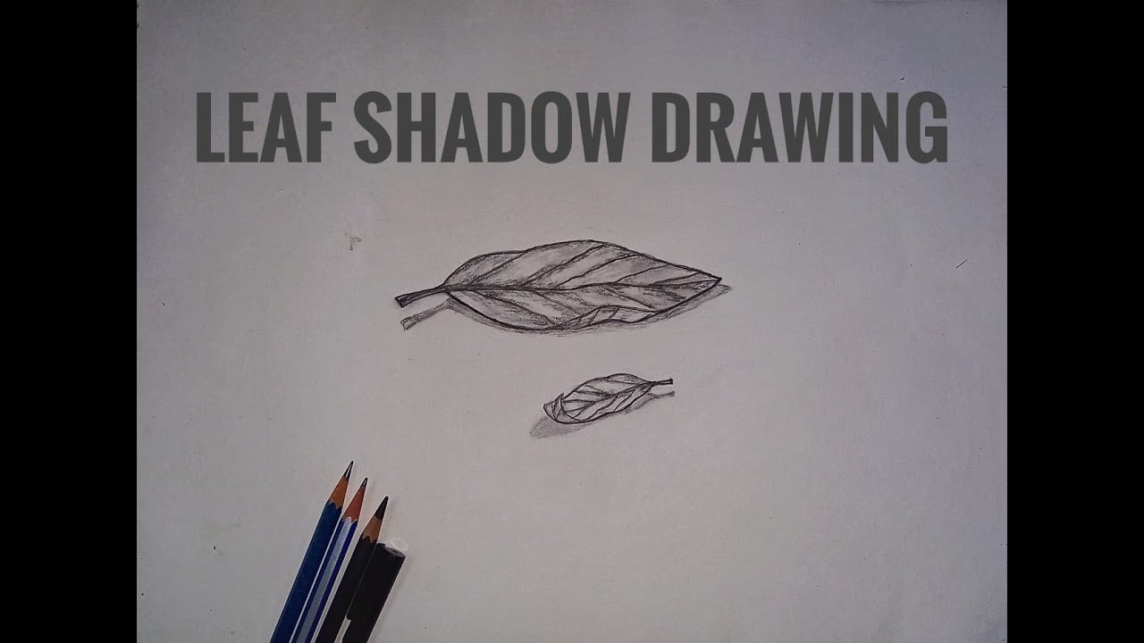leaf shadow drawing || How to leaf shadow drawing || leaf drawing - YouTube