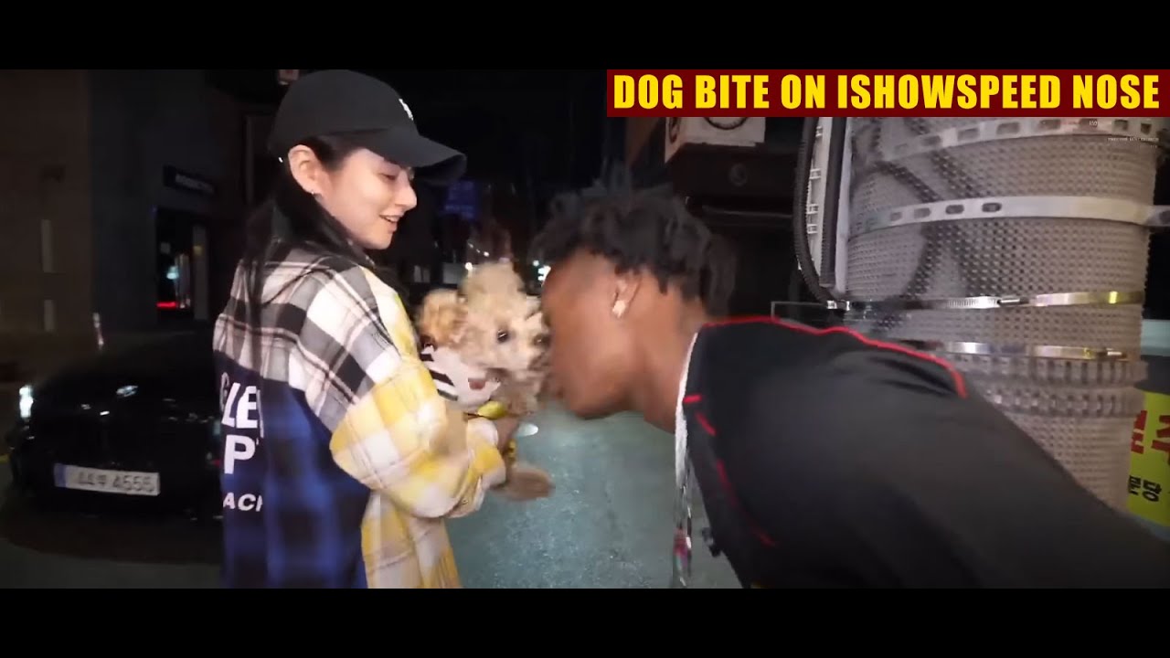 Dog Bite On iShowSpeed Nose in South Korea - YouTube