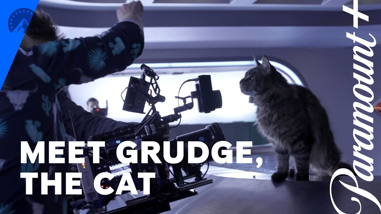 Star Trek: Discovery | Get To Know Grudge, The Cat | Paramount+ - YouTube