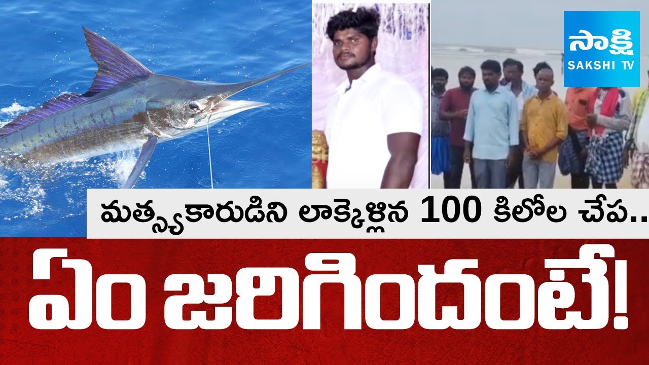 Kommu Konam Fish Dragged Fisherman Into Sea In Anakapalli District ...