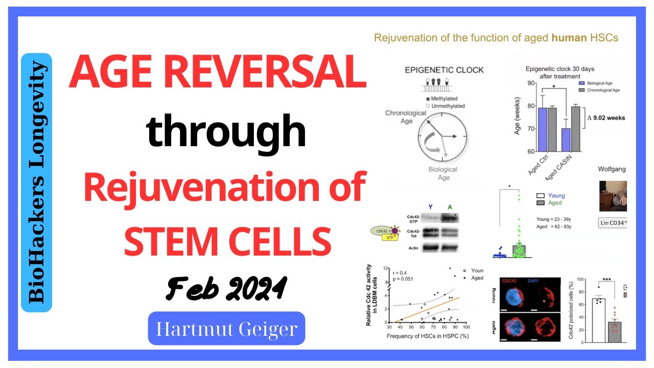 Age Reversal through Rejuvenation of stem Cells/ Hartmut Geiger - YouTube