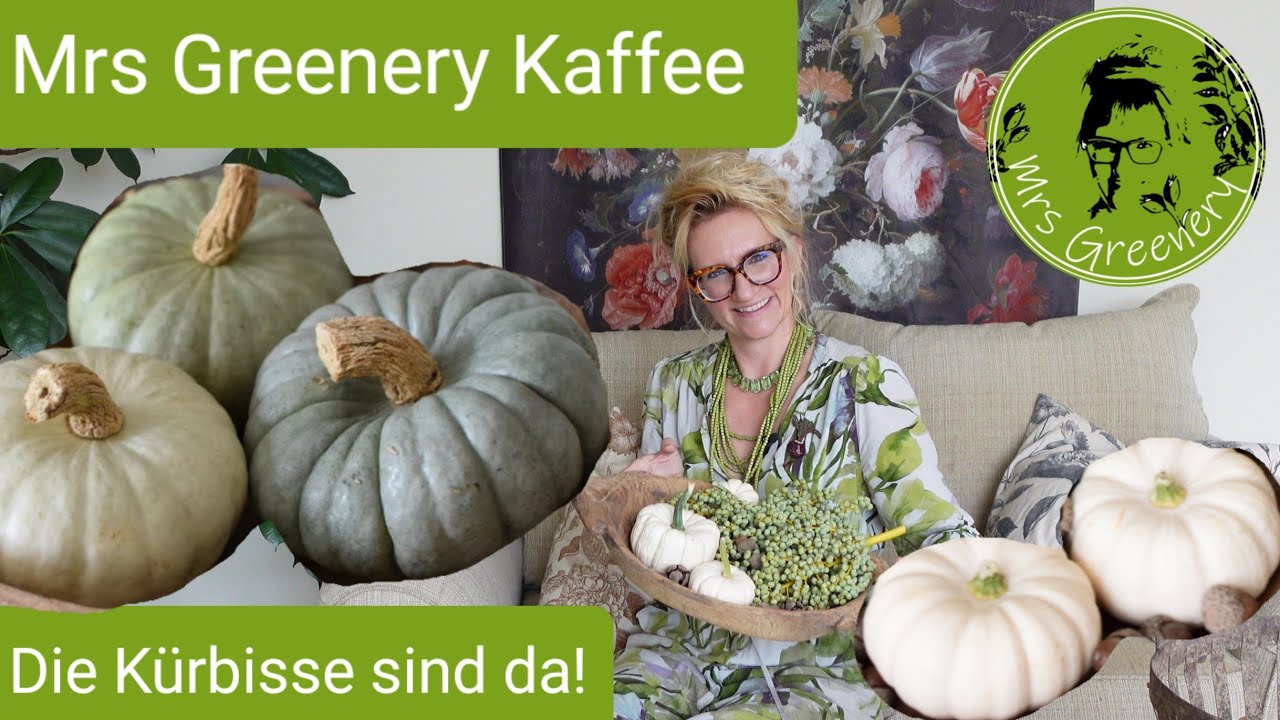 Mrs Greenery Kaffee Vol.47: Die Kürbisse sind da!!! Baby Boo´s & noch ...