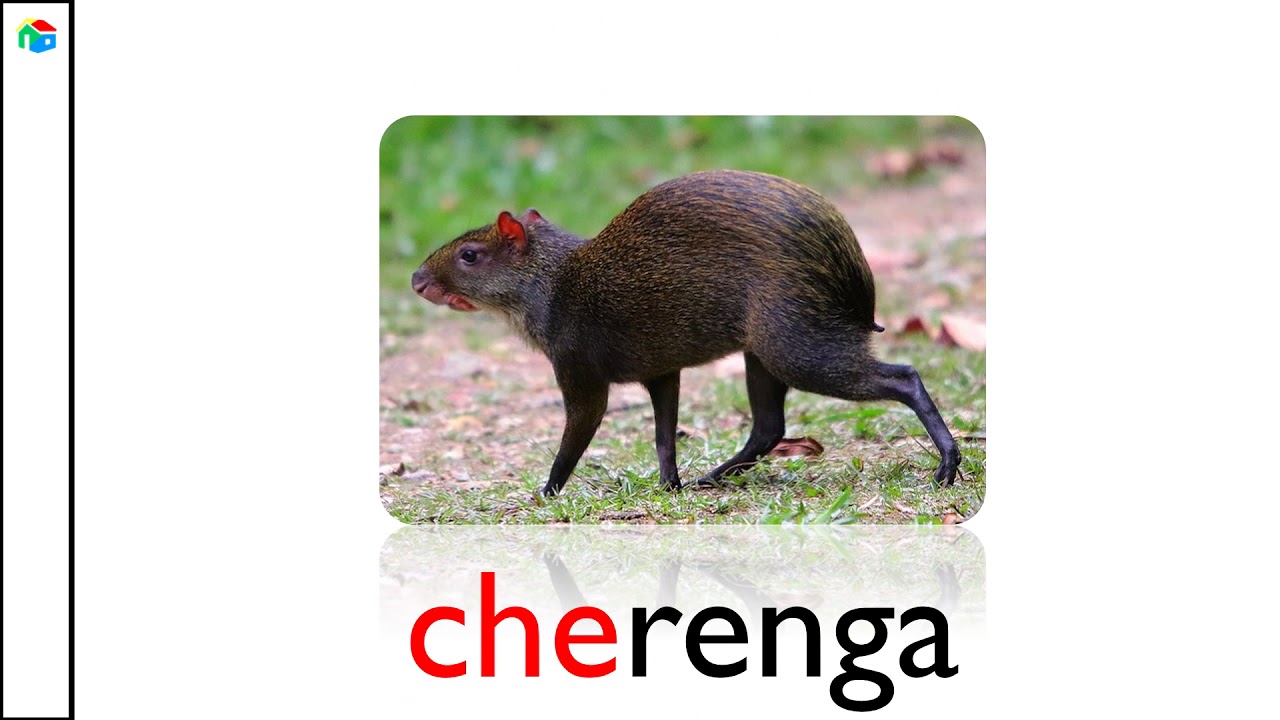 Palabras comienza con che - YouTube