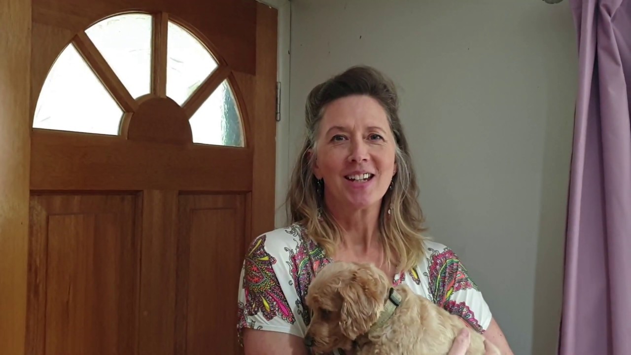 5@5 with Camerata (Ep16 - Eve Newsome - Bach - Adagio from Easter ...