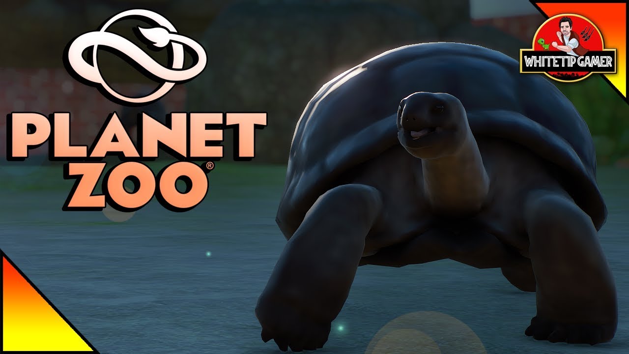 Making Our First Zoo From Scratch | Planet Zoo Career Mode | Part 7 ...