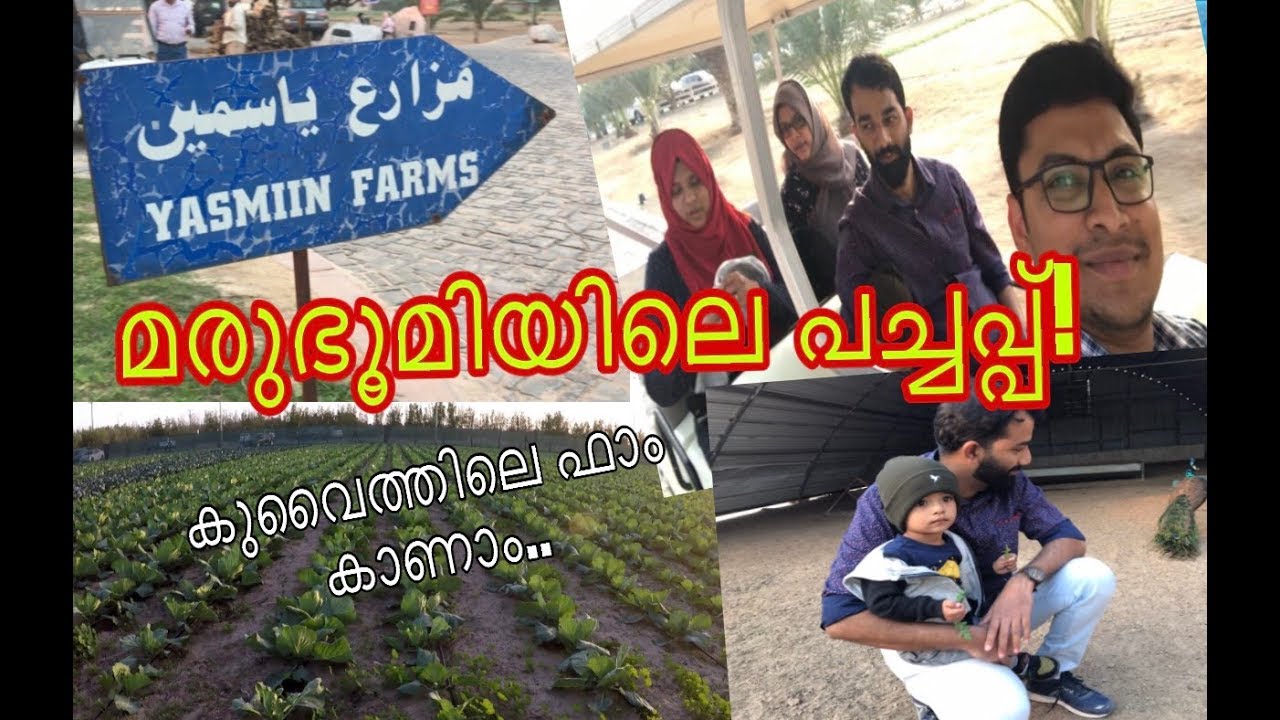 My trip to Yasmin farm/ Kuwait tourism /കുവൈത്തിലെ ഫാം കാണാം - YouTube