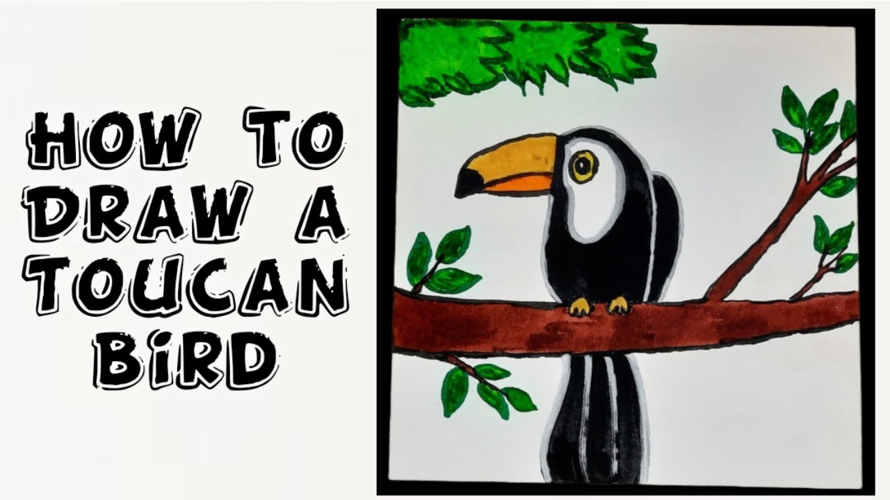 How to Draw a Toucan Bird | Easy Drawing tutorial for Kids - YouTube