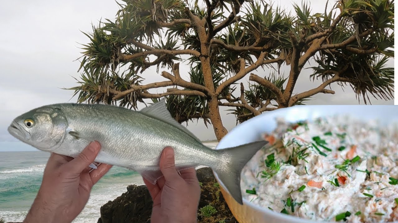 Catch and Cook Tailor - Smoked Fish & Dill Dip - YouTube