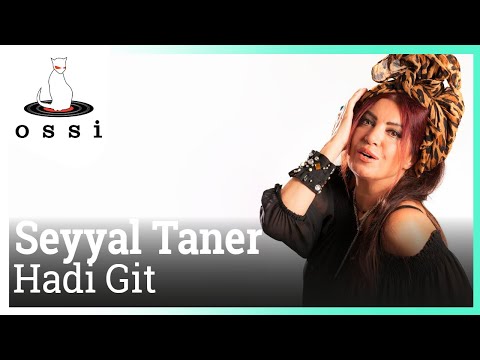 Seyyal Taner - Hadi Git