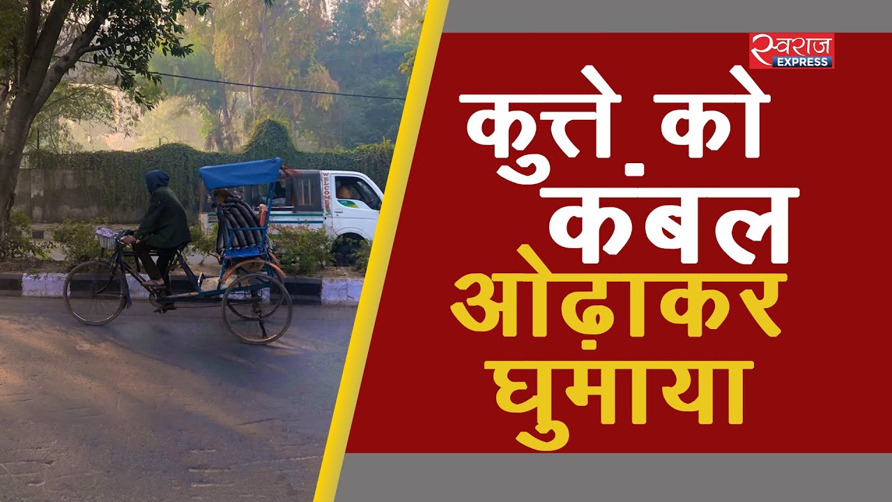 कुत्ते को कंबल ओढ़ाकर घुमाया | Dog enjoys rickshaw ride - YouTube