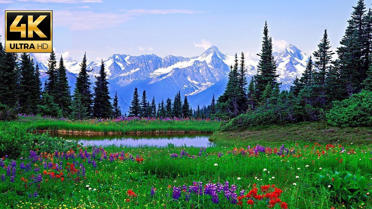 Hermosos paisajes naturales del Monte Rainier - YouTube