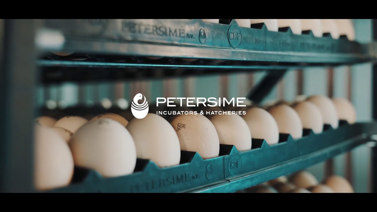 Petersime Corporate Video - YouTube