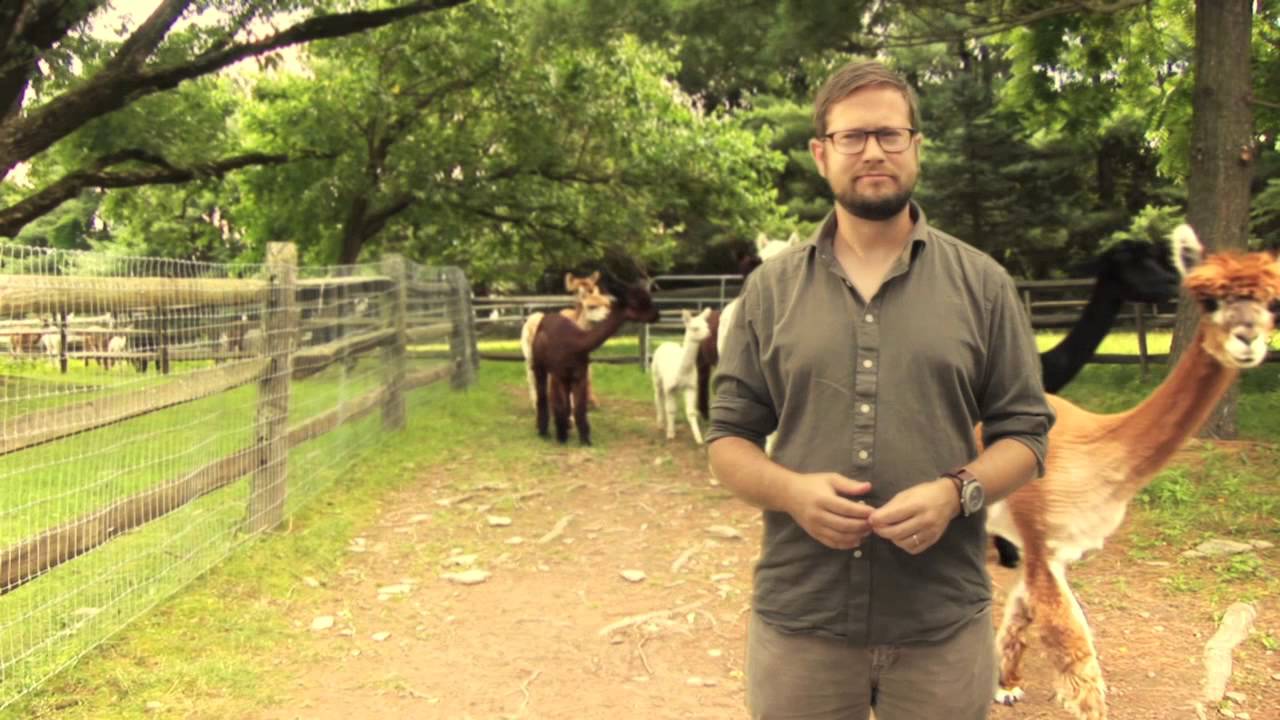 APOCATIPS: #13 with Cole Stratton - YouTube