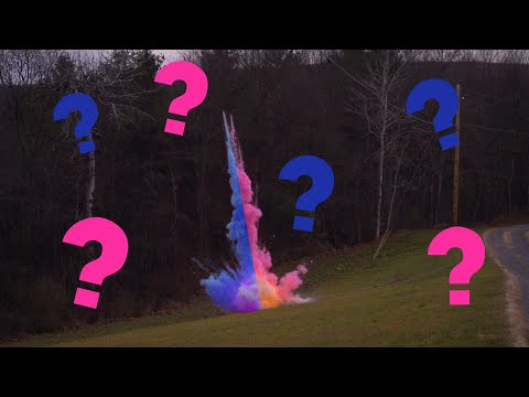 Baby Pozzi 💥EXPLOSIVE💥 Gender Reveal!